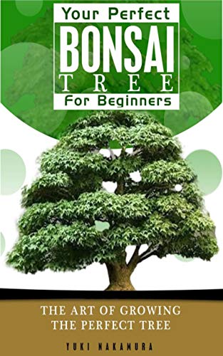Bonsai Trees: The art of growing your bonsai trees and making them ...