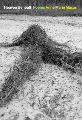 Heaven Beneath: Poems by Anne Marie Macari | Goodreads