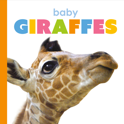 Baby Giraffes by Kate Riggs | Goodreads