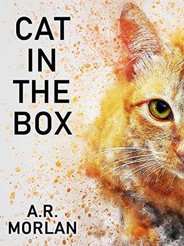 Cat in the Box by A.R. Morlan | Goodreads