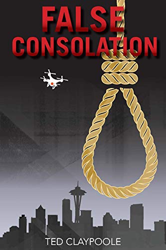 False Consolation (The Matt Bishop Mysteries Book 1) by Ted Claypoole ...