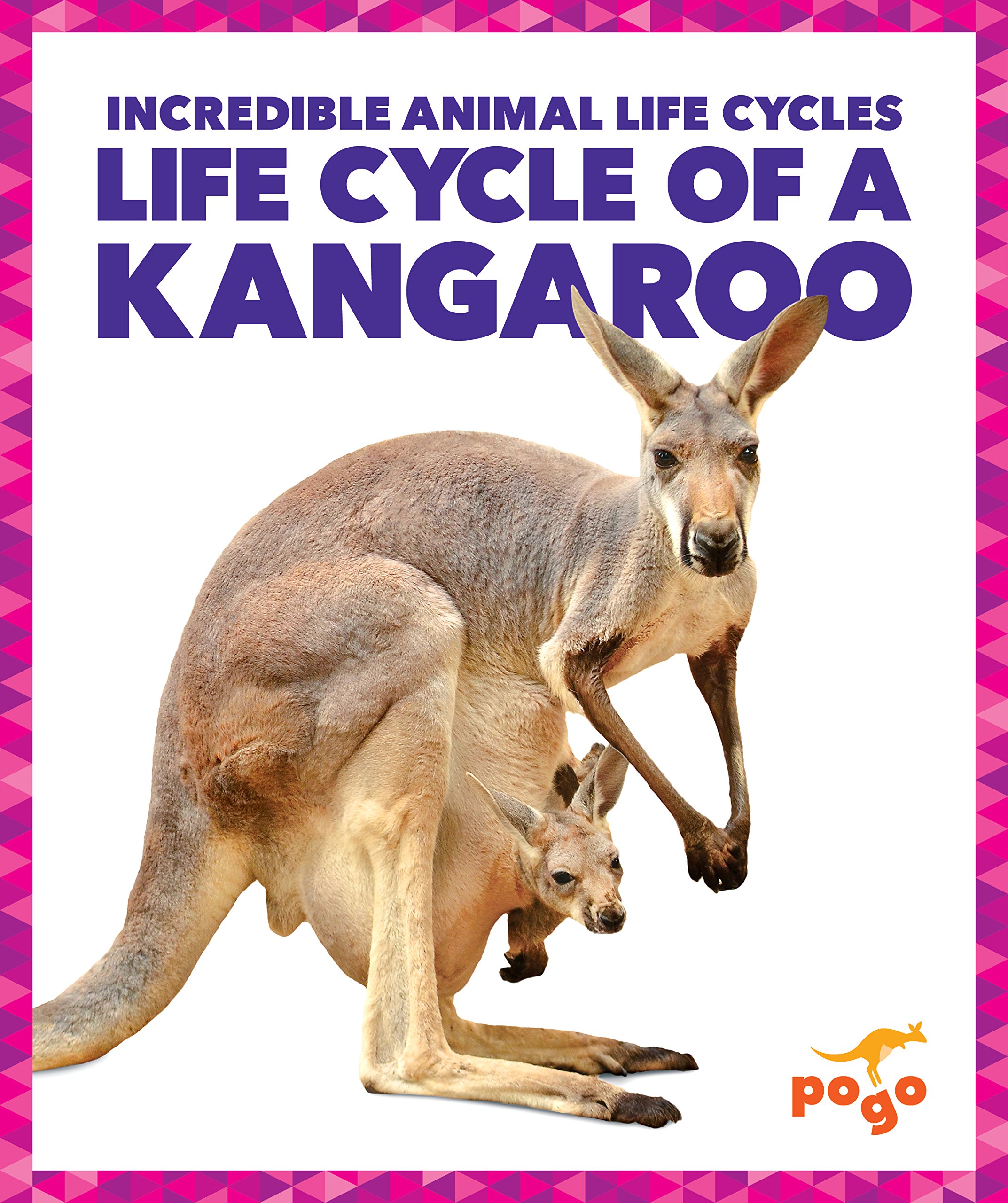 Life Cycle Of A Kangaroo by Karen Latchana Kenney | Goodreads