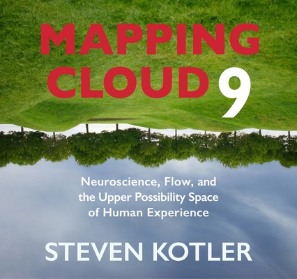 Mapping Cloud Nine: Neuroscience, Flow, and the Upper Possibility Space ...
