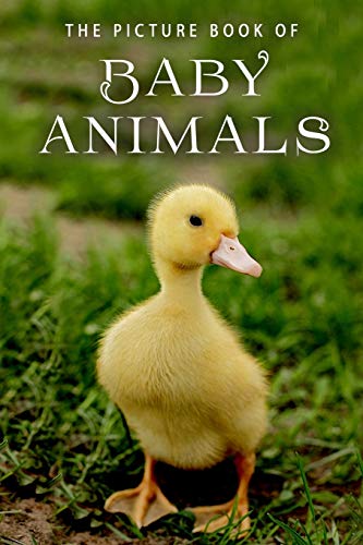 The Picture Book of Baby Animals: A Gift Book for Alzheimer's Patients ...