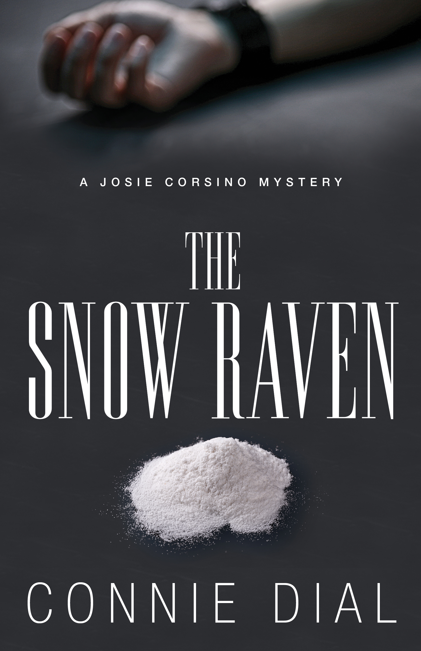 The Snow Raven by Connie Dial | Goodreads