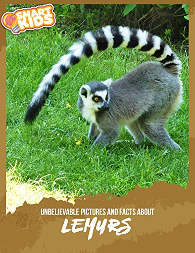 Unbelievable Pictures and Facts About Lemurs by Olivia Greenwood ...
