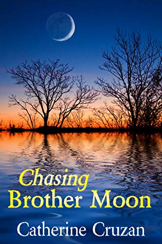Chasing Brother Moon (Elfkind, #2) by Catherine Cruzan | Goodreads