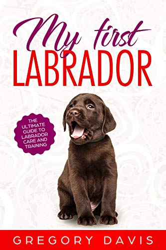 My First Labrador: The Ultimate Guide to Labrador Care and Training by ...