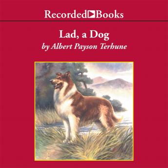 Lad, a Dog by Albert Payson Terhune | Goodreads