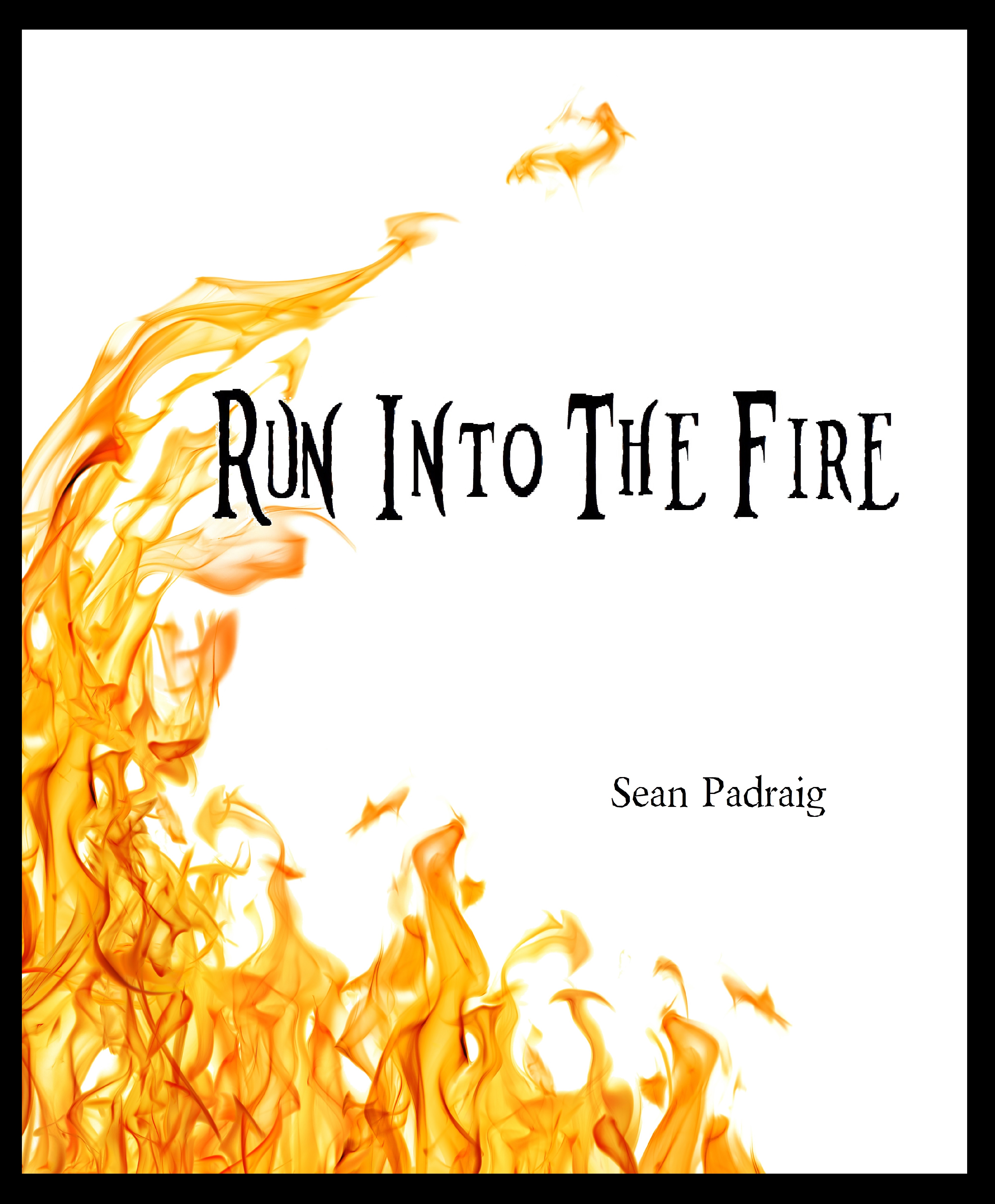 Run Into The Fire by Sean Padraig | Goodreads