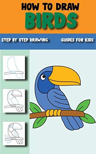 How To Draw Birds: The Step by Step simple way to draw birds parrot ...