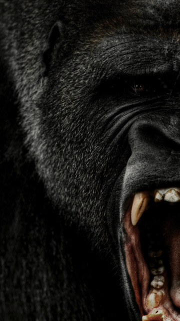 Man Uncivilized by Traver Boehm | Goodreads