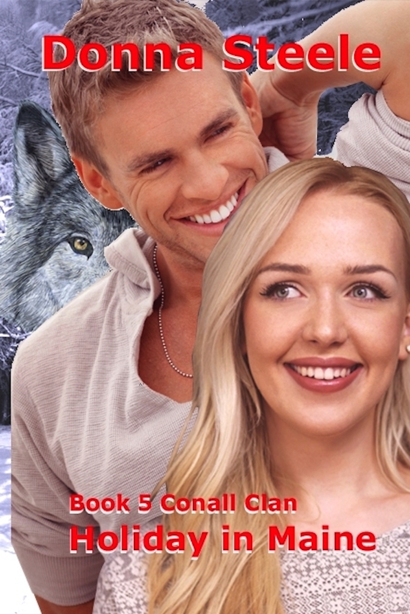 Holiday in Maine by Donna Steele | Goodreads