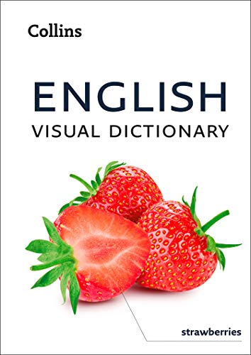 English Visual Dictionary: A photo guide to everyday words and phrases ...