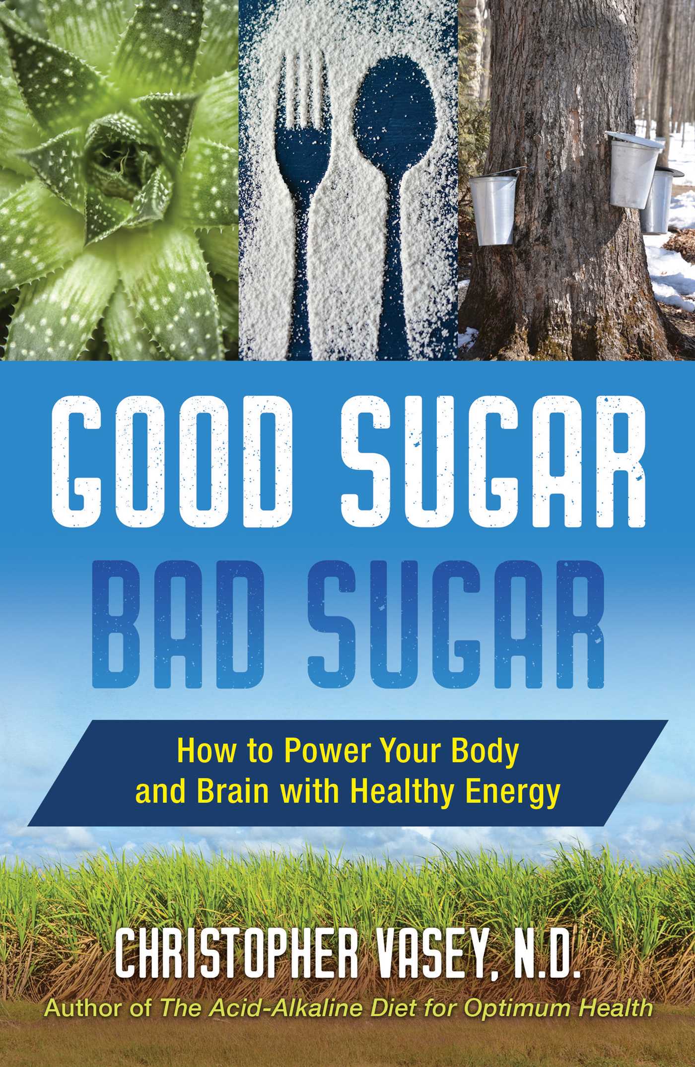 Good Sugar, Bad Sugar: How to Power Your Body and Brain with Healthy ...