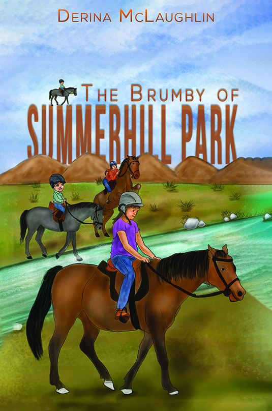 The Brumby of Summerhill Park by Derina McLaughlin | Goodreads