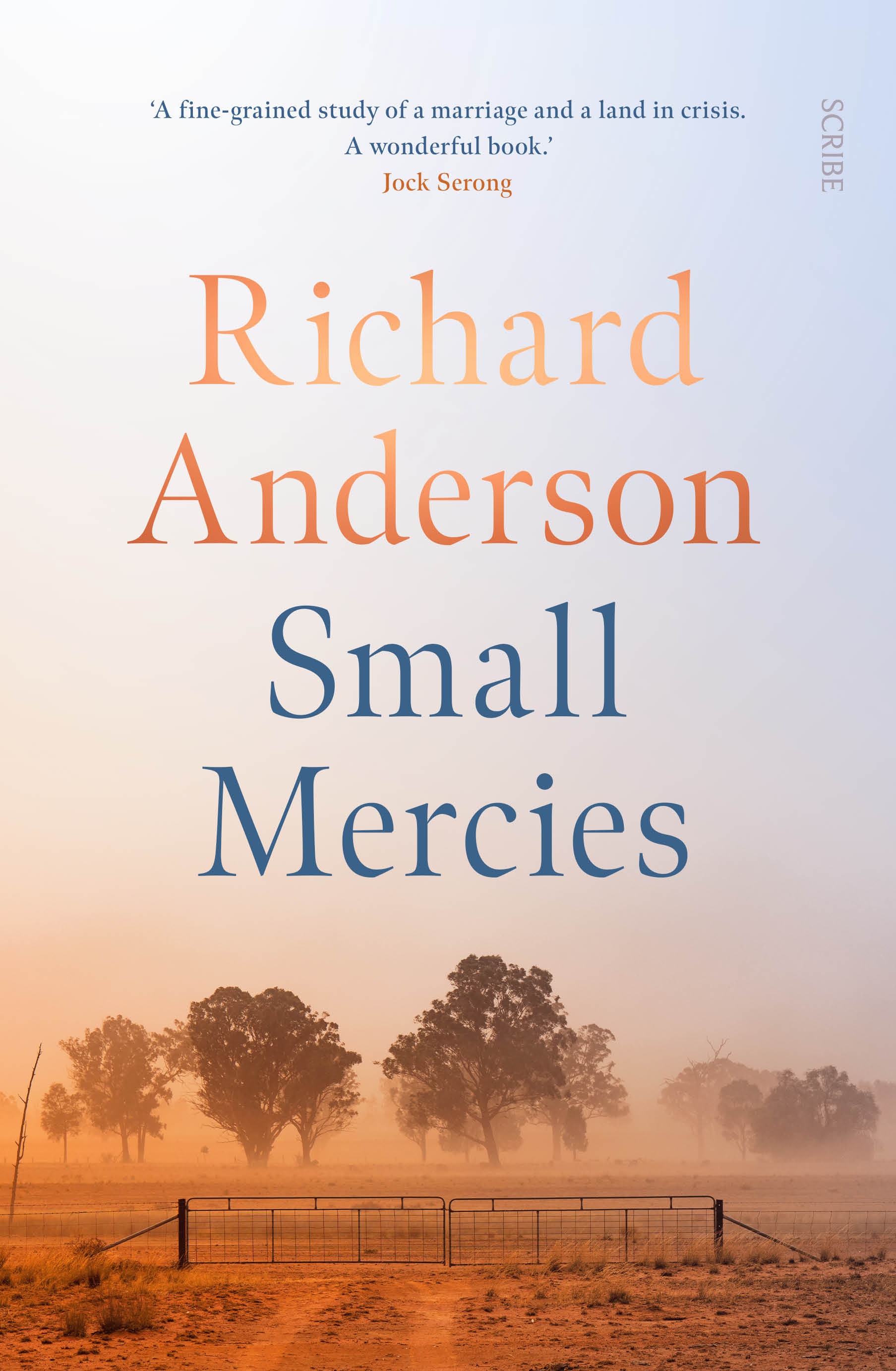 Small Mercies by Richard Anderson | Goodreads