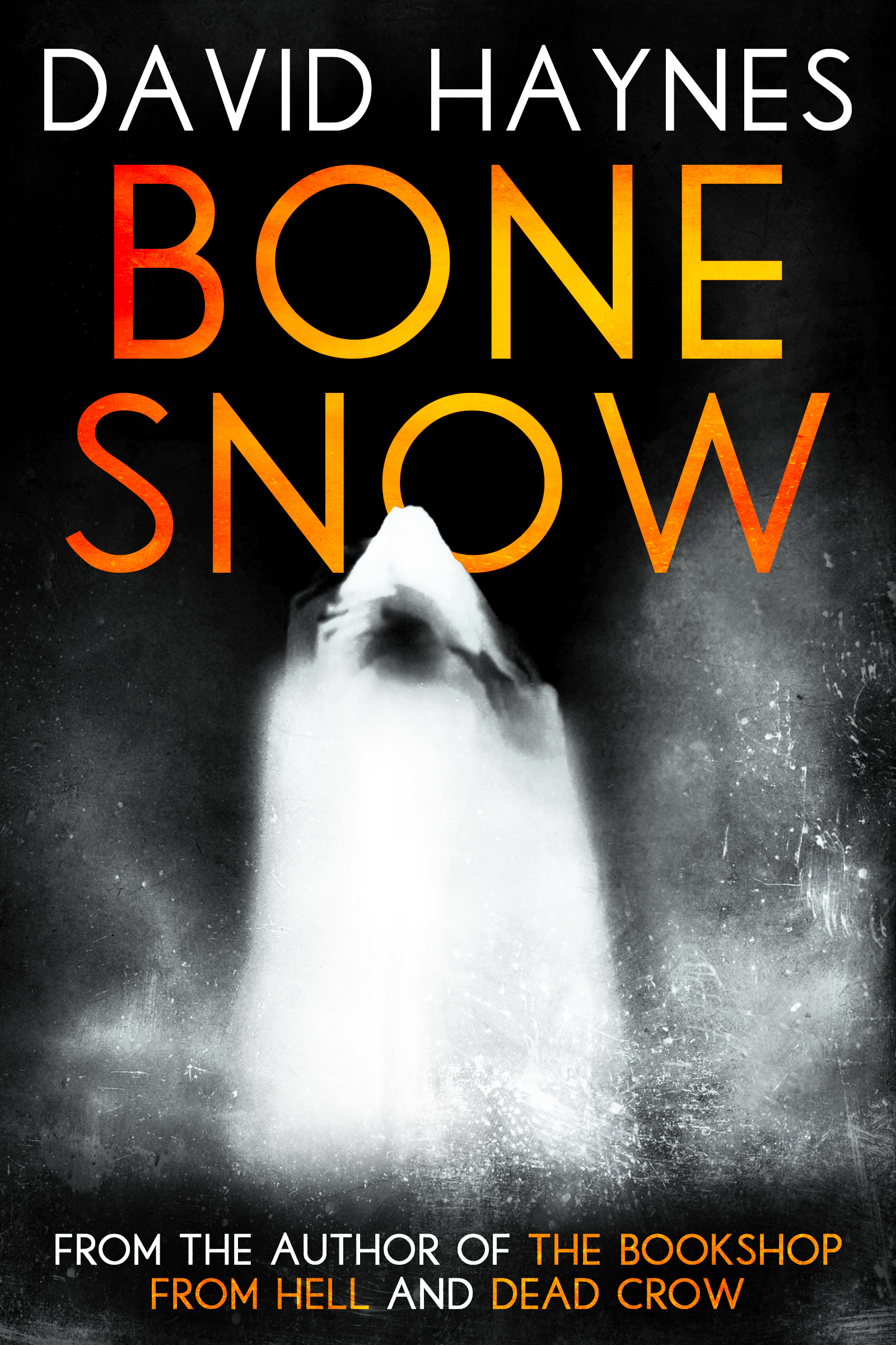 Bone Snow by David Haynes | Goodreads