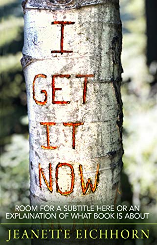 I Get It Now by Jeanette Eichhorn | Goodreads