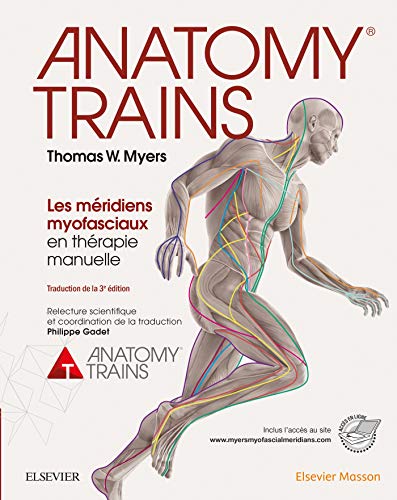 Anatomy Trains: Les Méridiens Myofasciaux En Thérapie Manuelle by ...