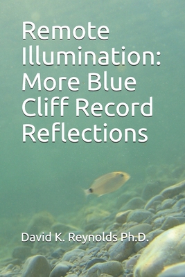 Remote Illumination: More Blue Cliff Record Reflections by David K ...