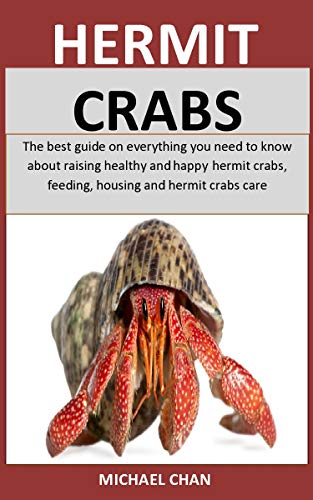 Hermit Crabs: The best guide on everything you need to know about raising healthy and happy ...