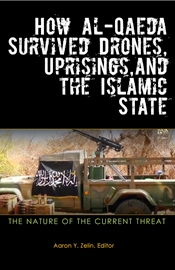 How Al-Qaeda survived drones, uprisings, and the Islamic State by Aaron ...