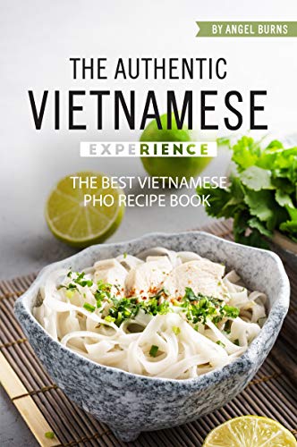 The Authentic Vietnamese Experience: The Best Vietnamese Pho Recipe ...