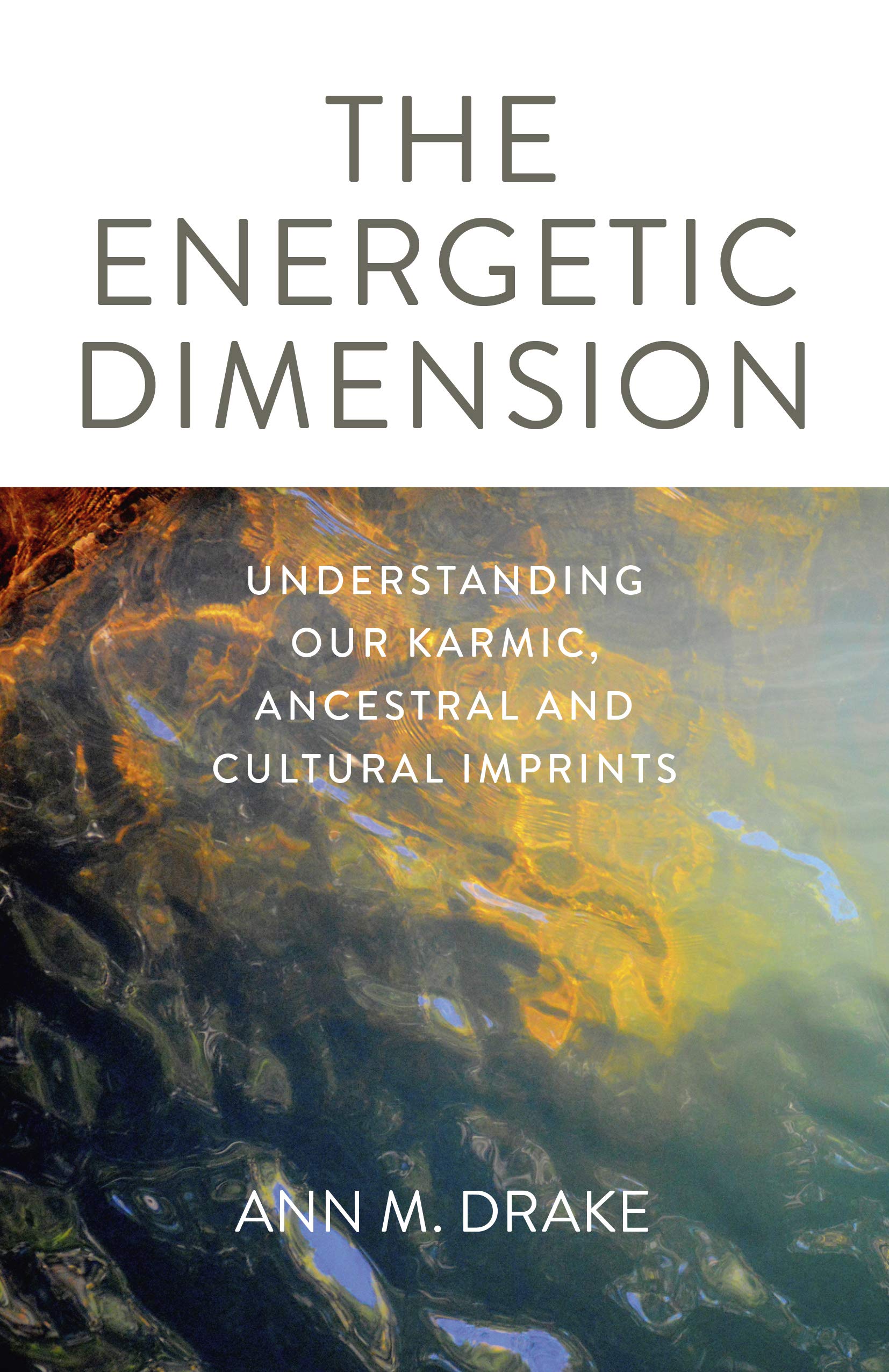 The Energetic Dimension: Understanding Our Karmic, Ancestral and ...