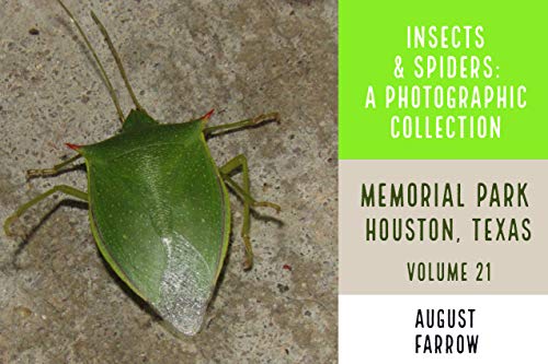 Insects & Arachnids: A Photographic Collection: Memorial Park: Houston ...