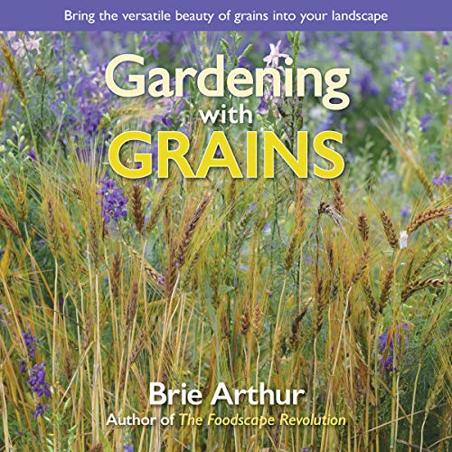 Gardening with Grains: Bring the Versatile Beauty of Grains to Your ...