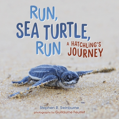 Run, Sea Turtle, Run: A Hatchling's Journey by Stephen Swinburne ...