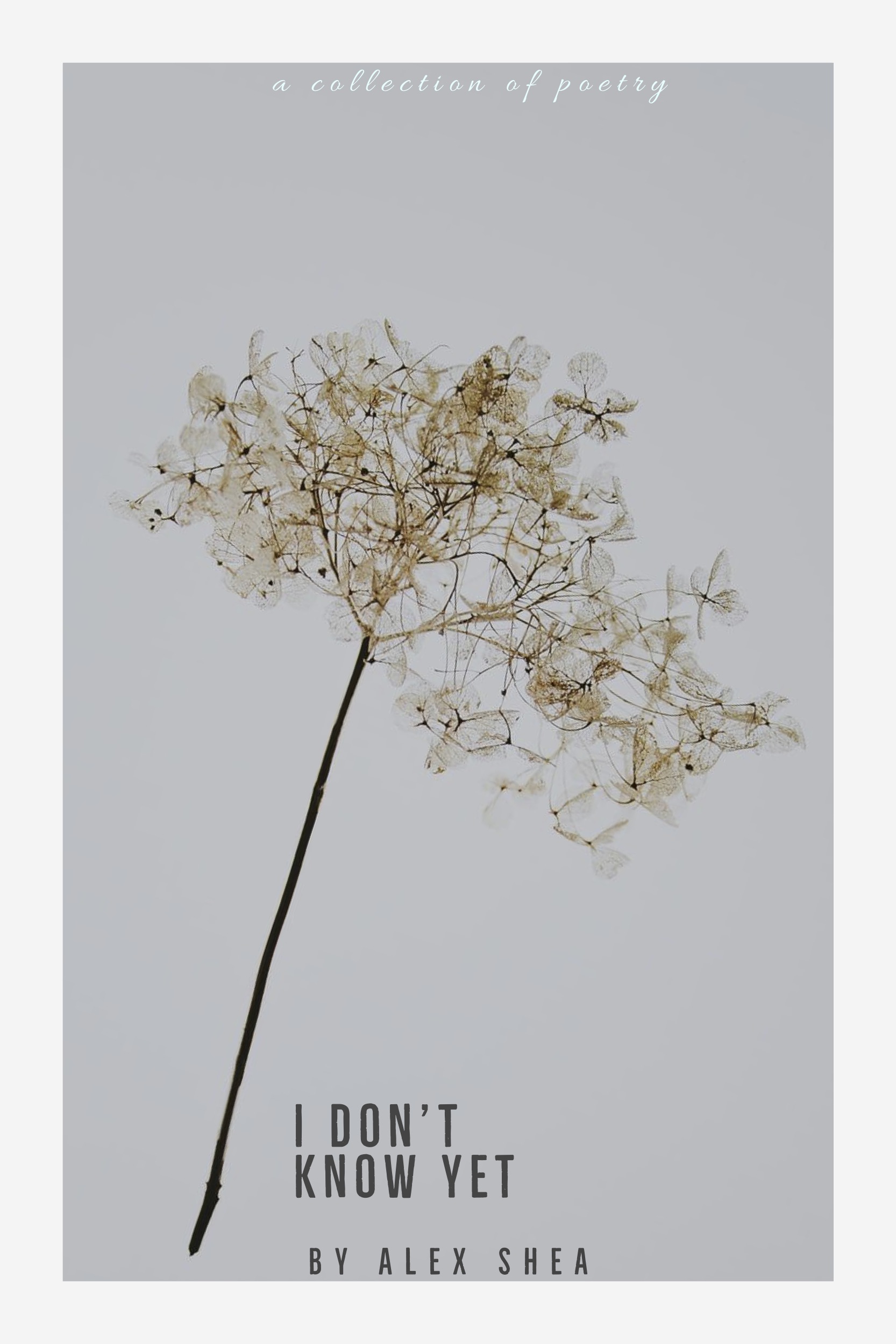 I Don't Know Yet by Alex Shea | Goodreads