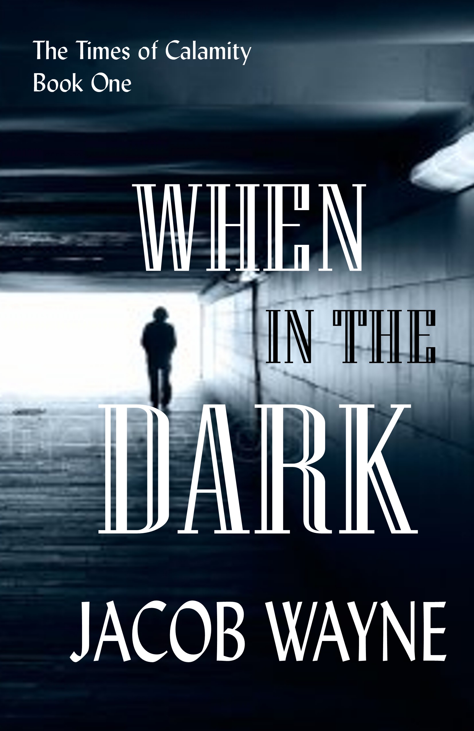 When in the Dark: The Times of Calamity Book One by Jacob Wayne | Goodreads