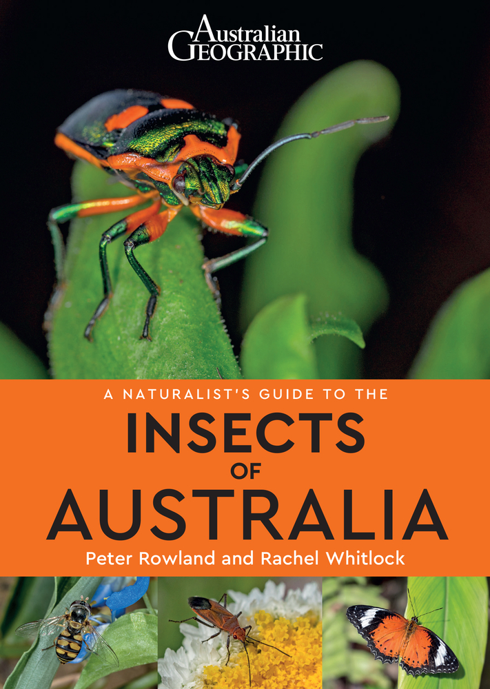 A Naturalist's Guide to Insects of Australia by Peter Rowland | Goodreads