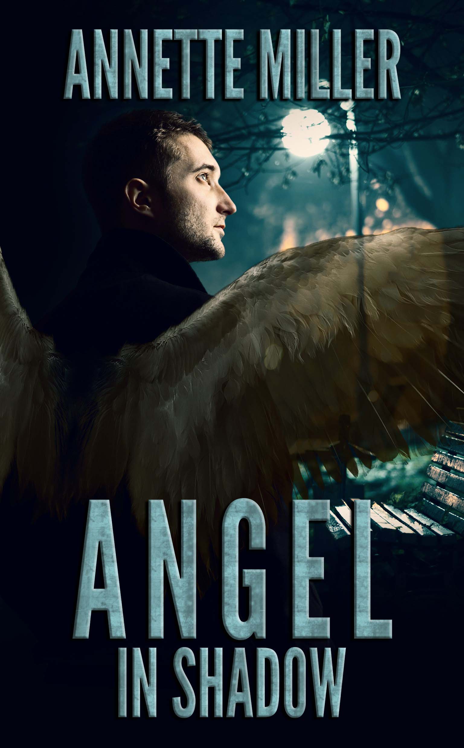 Angel in Shadow (Angel Haven, #4) by Annette Miller | Goodreads