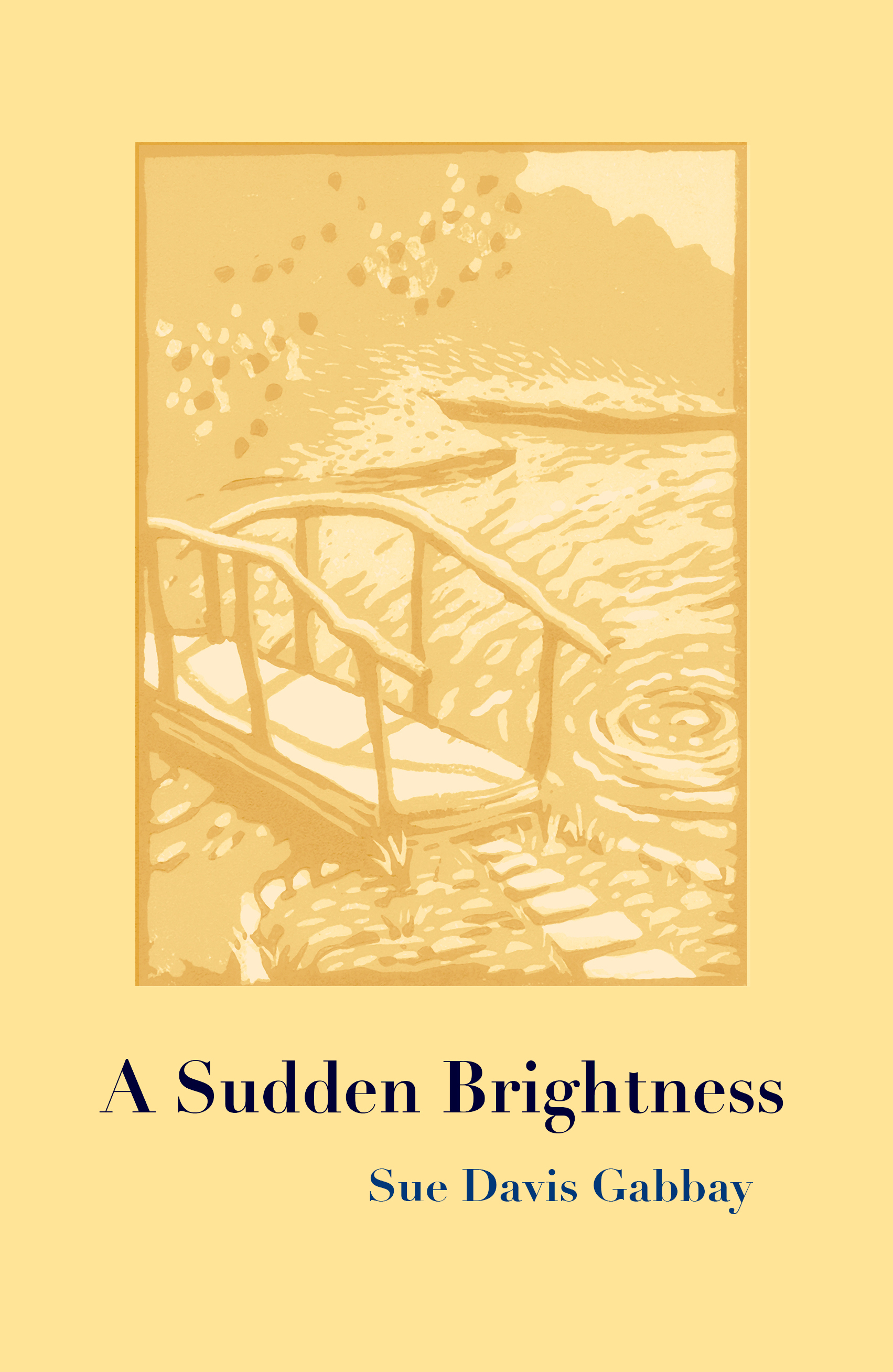 A Sudden Brightness by Sue Davis Gabbay | Goodreads