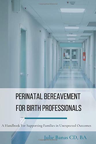 Perinatal Bereavement for Birth Professionals: A Handbook for Supporting Families in Unexpected ...