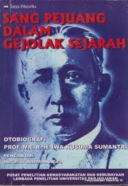 Sang Pejuang dalam Gejolak Sejarah: Otobiografi Prof. Mr. R. H. Iwa Kusuma Sumantri by Iwa ...