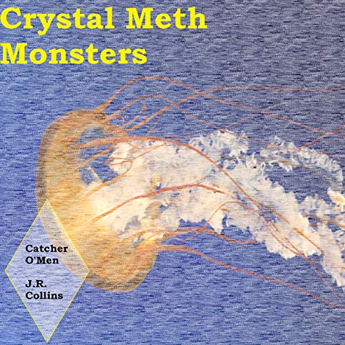 Crystal Meth Monsters: Fighting the Drug Epidemic in America by Catcher ...