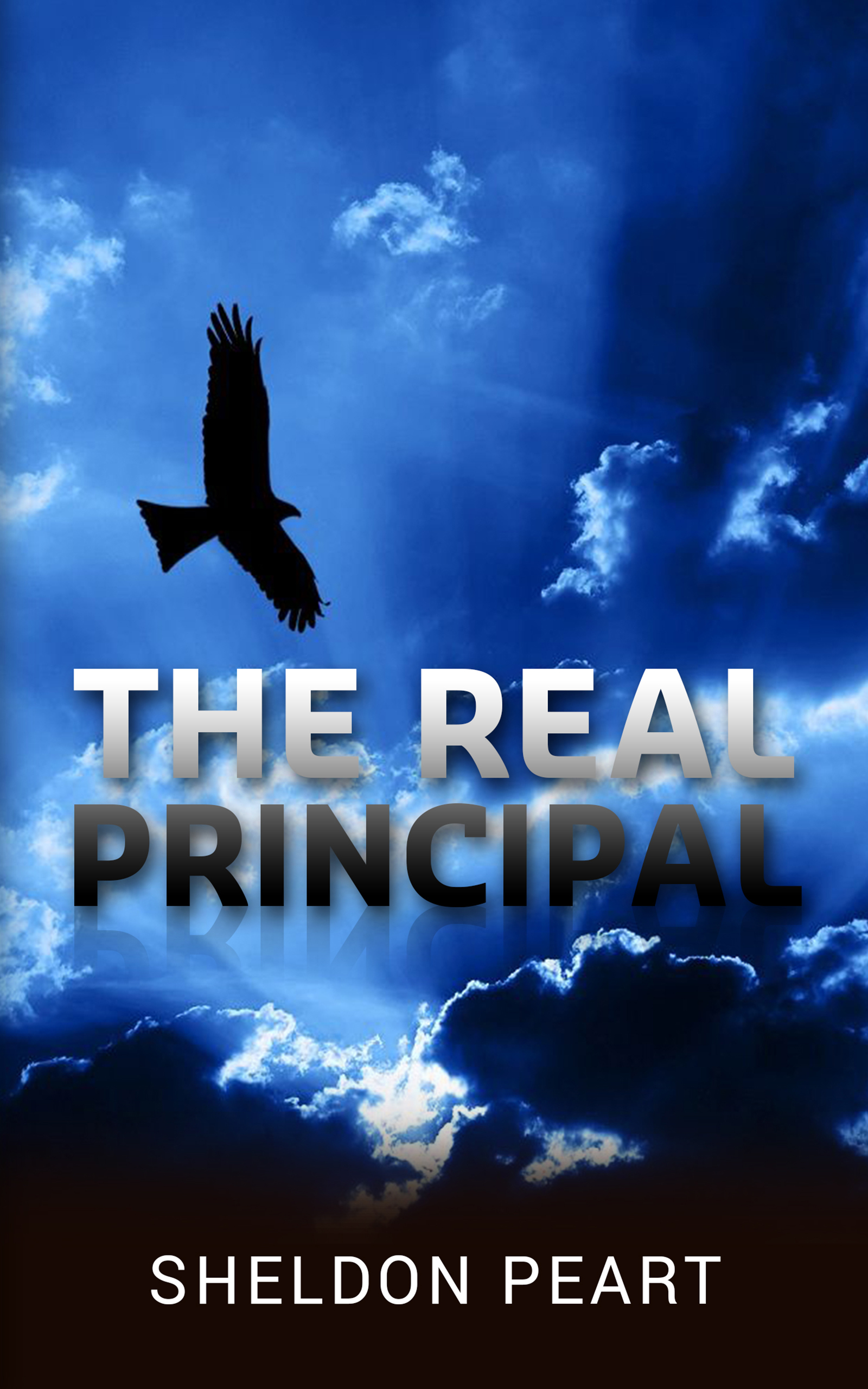 The Real Principal by Sheldon Peart | Goodreads