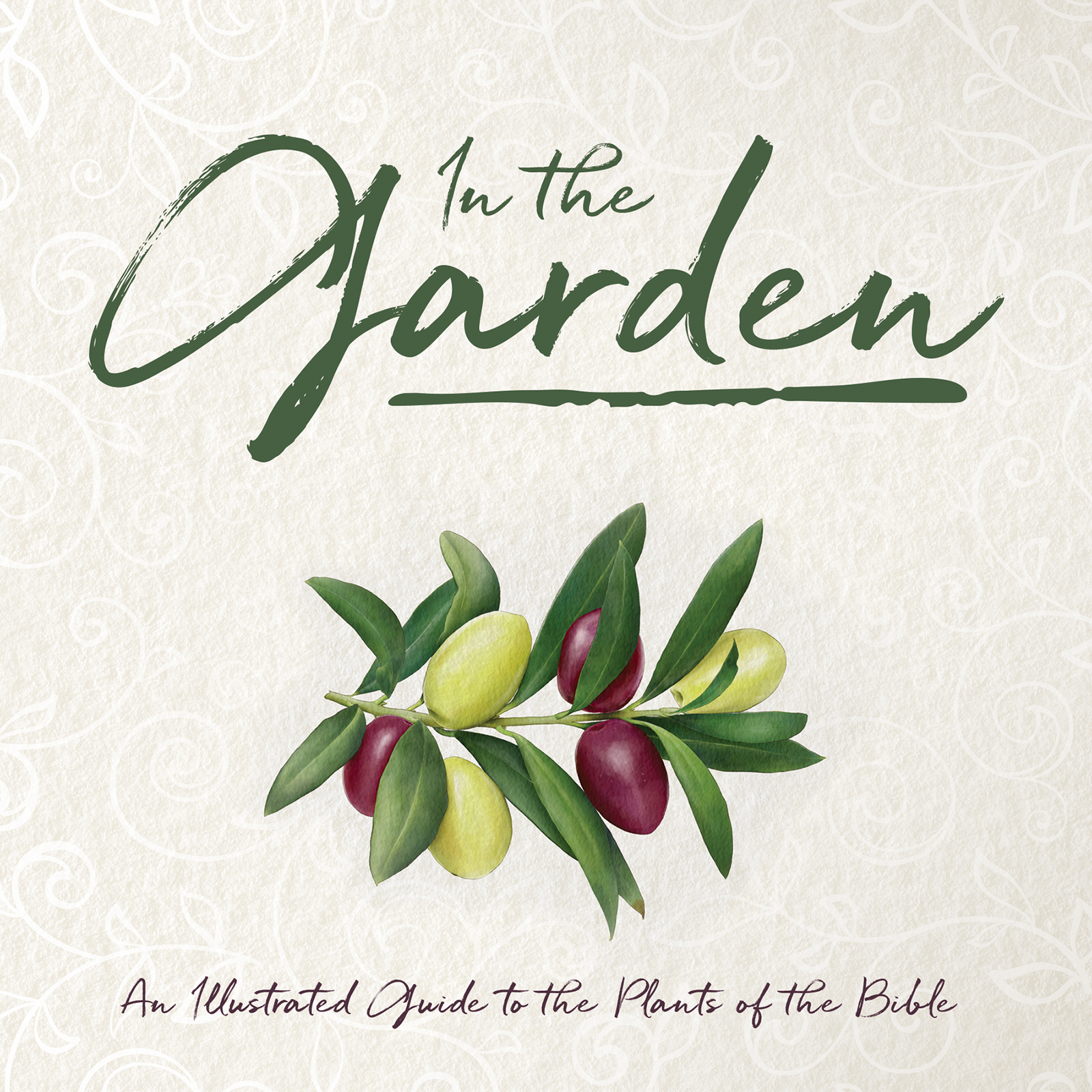 In the Garden: An Illustrated Guide to the Plants of the Bible by ...