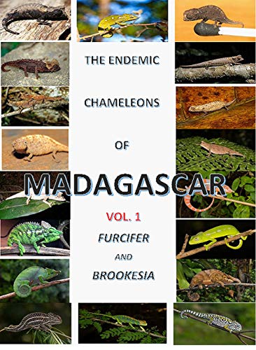 The endemic Chameleon of Madagascar Vol. 1 Furcifer and Brookesia by ...