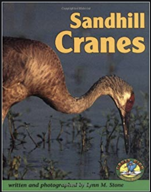 Sandhill Cranes (Early Bird Nature Books) by Lynn M. Stone | Goodreads