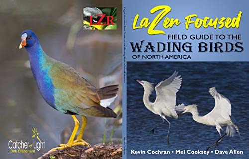 LaZer Focused Field Guide to the Wading Birds of North America by Kevin ...