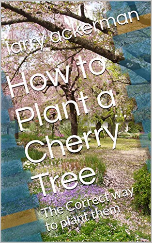 How to Plant a Cherry Tree: The Correct way to plant them by Larry ...