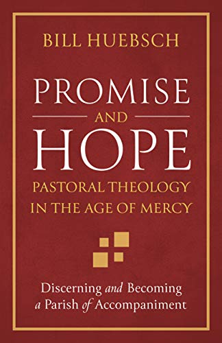 Promise and Hope: Pastoral Theology in the Age of Mercy: Discerning and ...