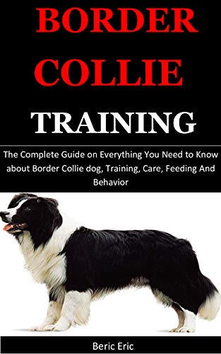 Border Collie Training: The Complete Guide on Everything You Need to ...
