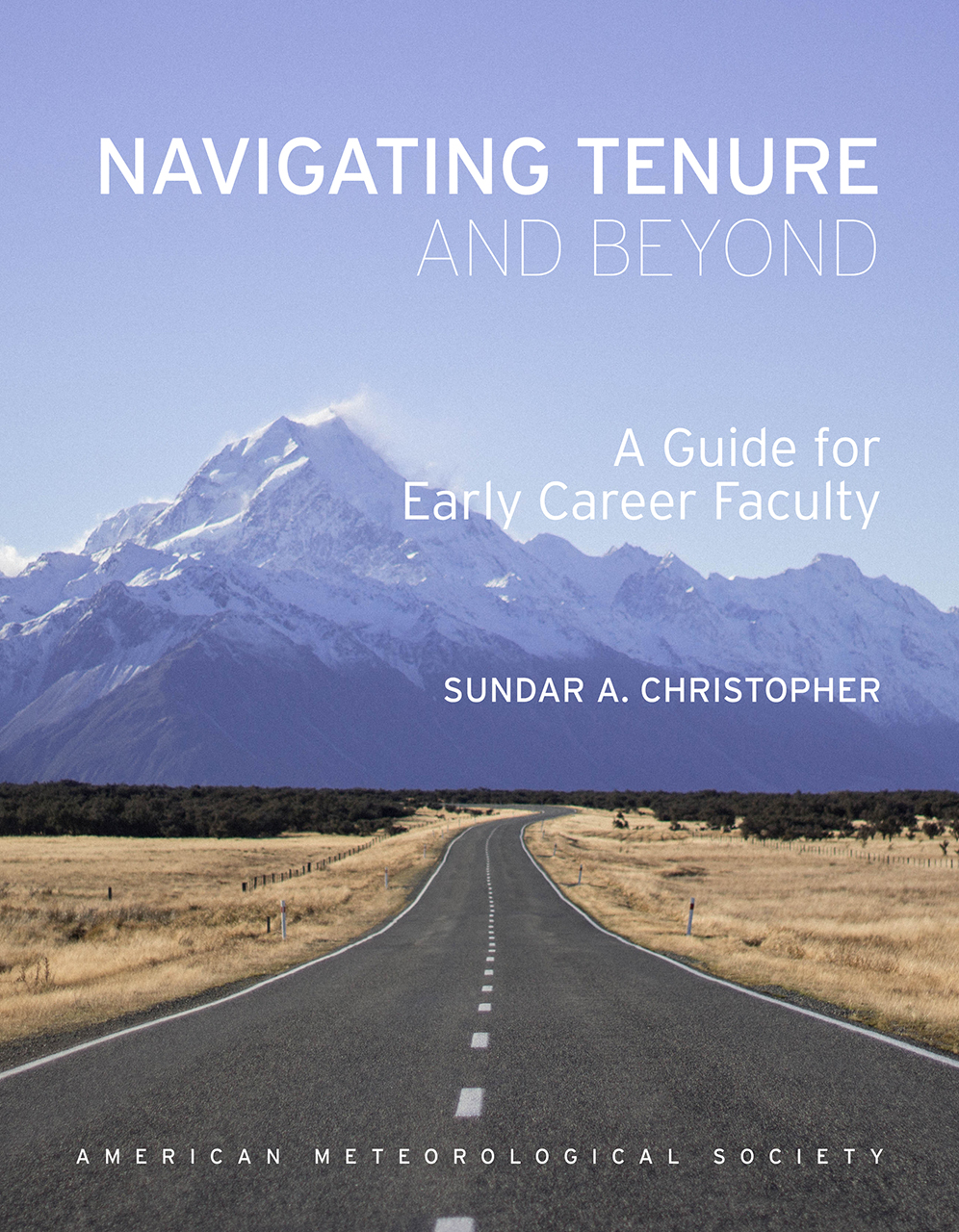 Navigating Tenure and Beyond: A Guide for Early Career Faculty by John ...