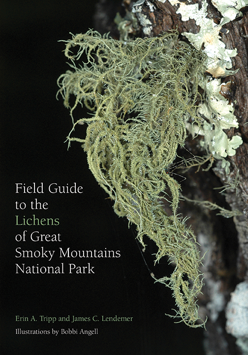 Field Guide to the Lichens of Great Smoky Mountains National Park by ...